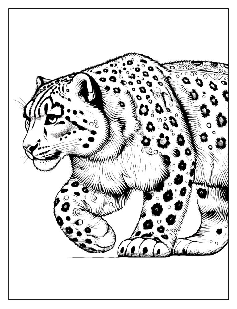 15 Snow Leopard Coloring Pages [ Free PDF Printables ] - Freentable