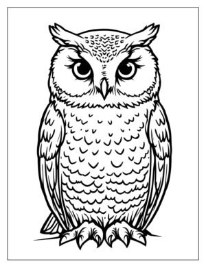 15 Free Hedwig Coloring Pages (PDF Printables) - Freentable