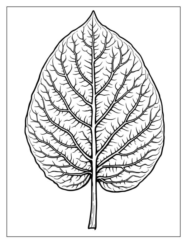 15 Free Parts of the Plant Coloring Pages (PDF Printables) - Freentable