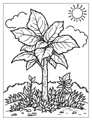 15 Free Parts of the Plant Coloring Pages (PDF Printables) - Freentable
